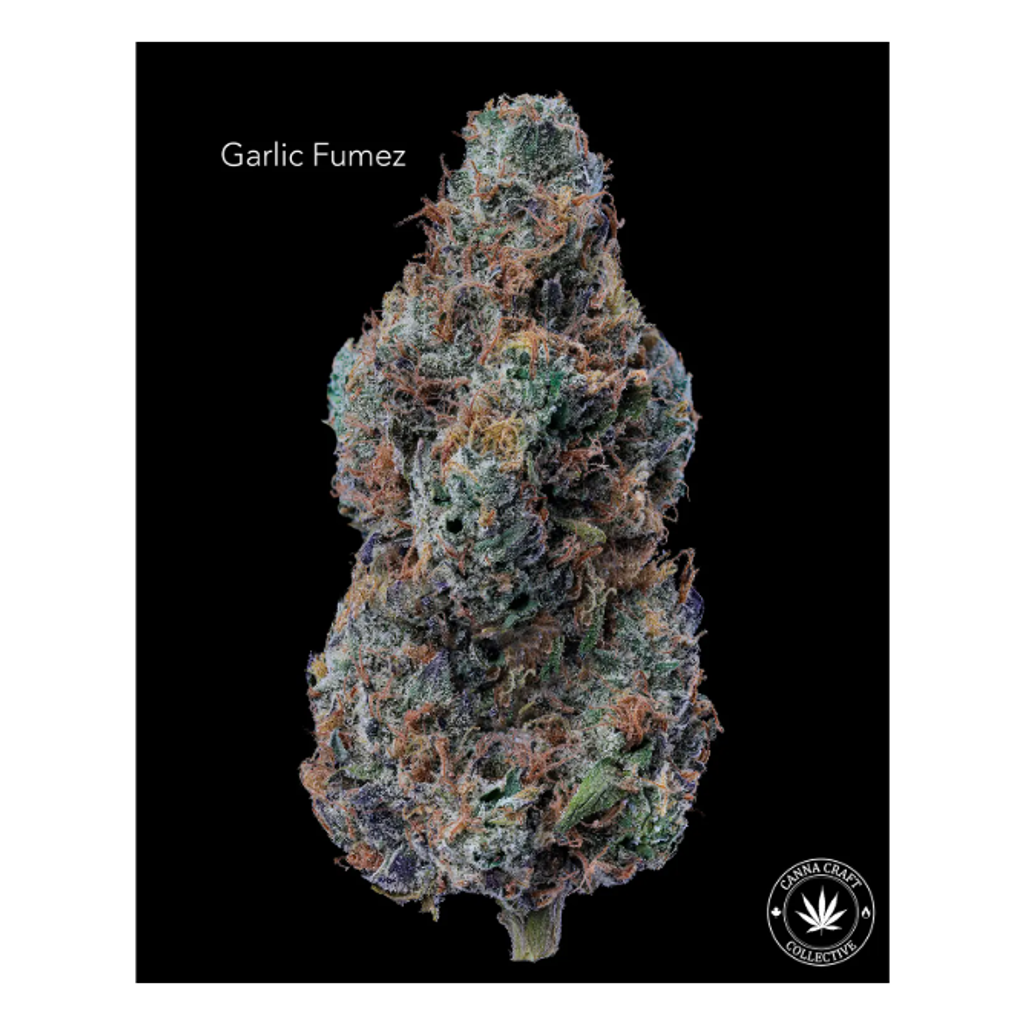 Garlic Fumez | Canna Craft Collective | Leafythings