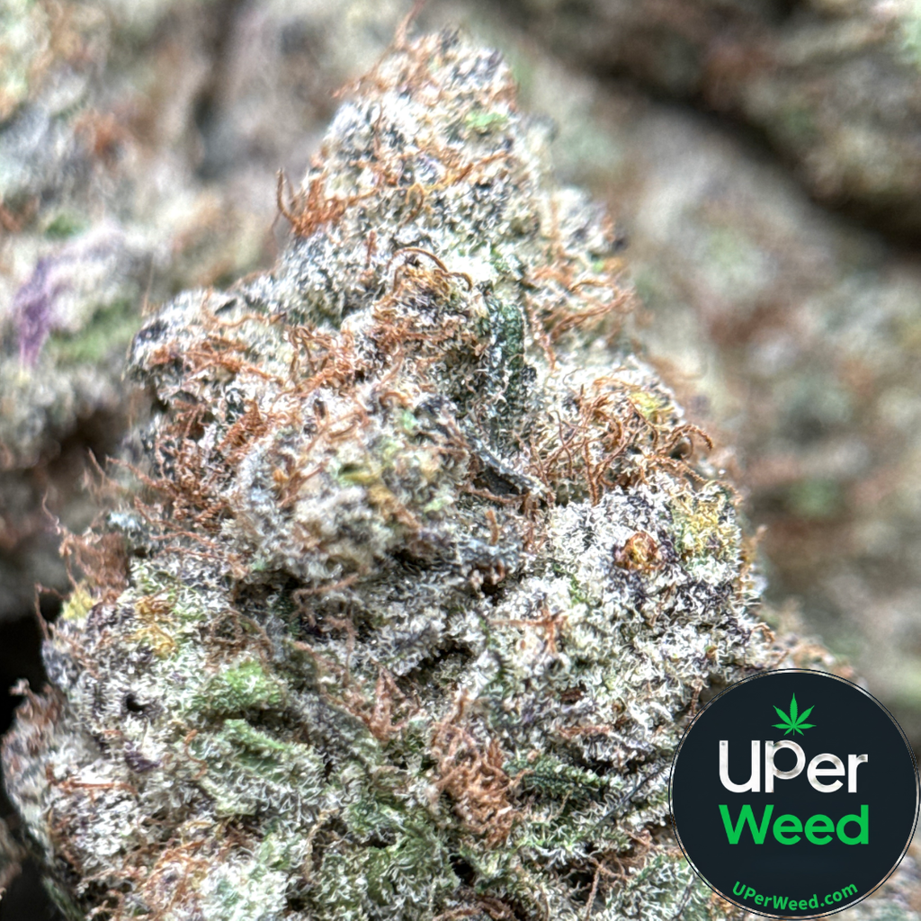 7g - Mac 1 🎰😮‍💨 Hybrid | 1oz Bulk Deal for $180 | Uberr Weed Ca ...