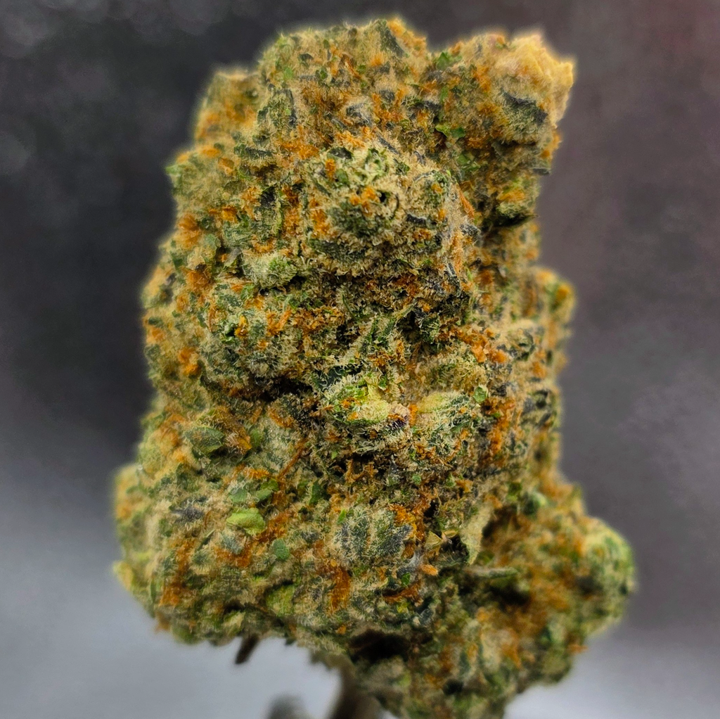 Pink Knight Aaaa+ | Gumby's Ganja and Full Melts | Leafythings