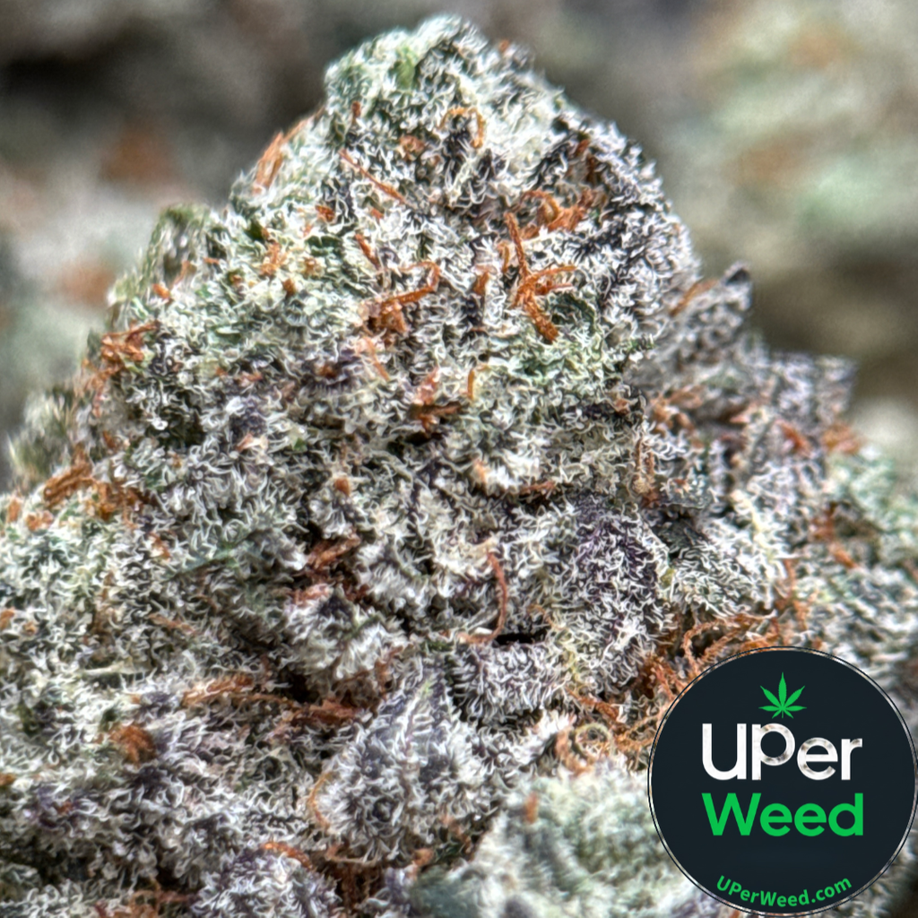 7g - Think Tank 🤔😮‍💨hybrid | 1oz Bulk Deal for $180 | Uberr Weed Ca ...