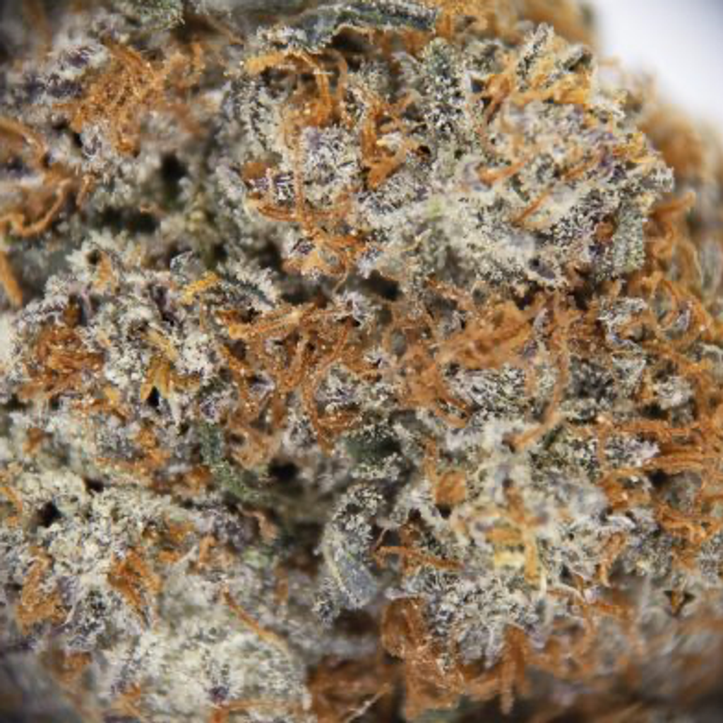 Cannabis Delivery in Carleton Place, Ontario, Canada