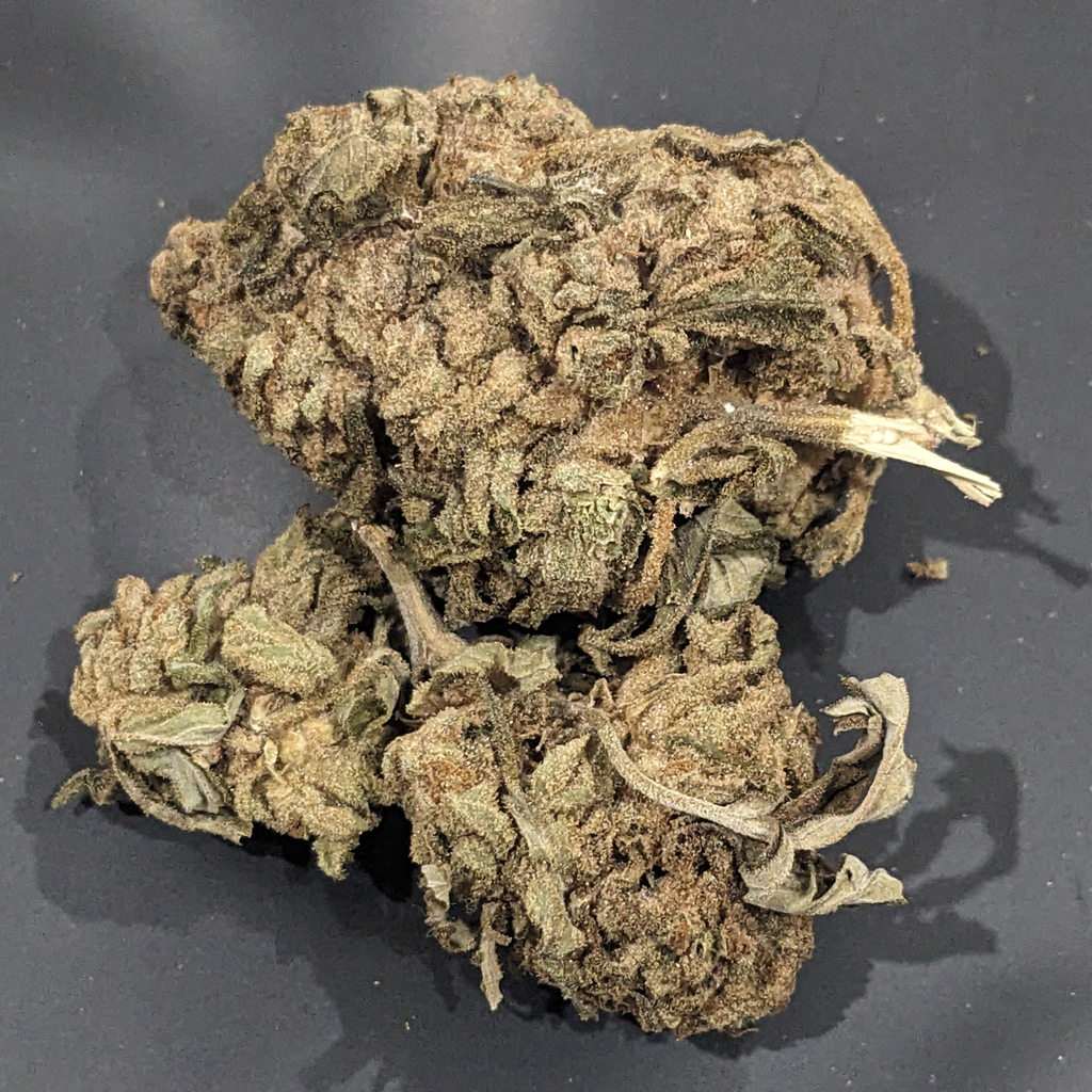 Skunk Haze | Weed Moments | Leafythings