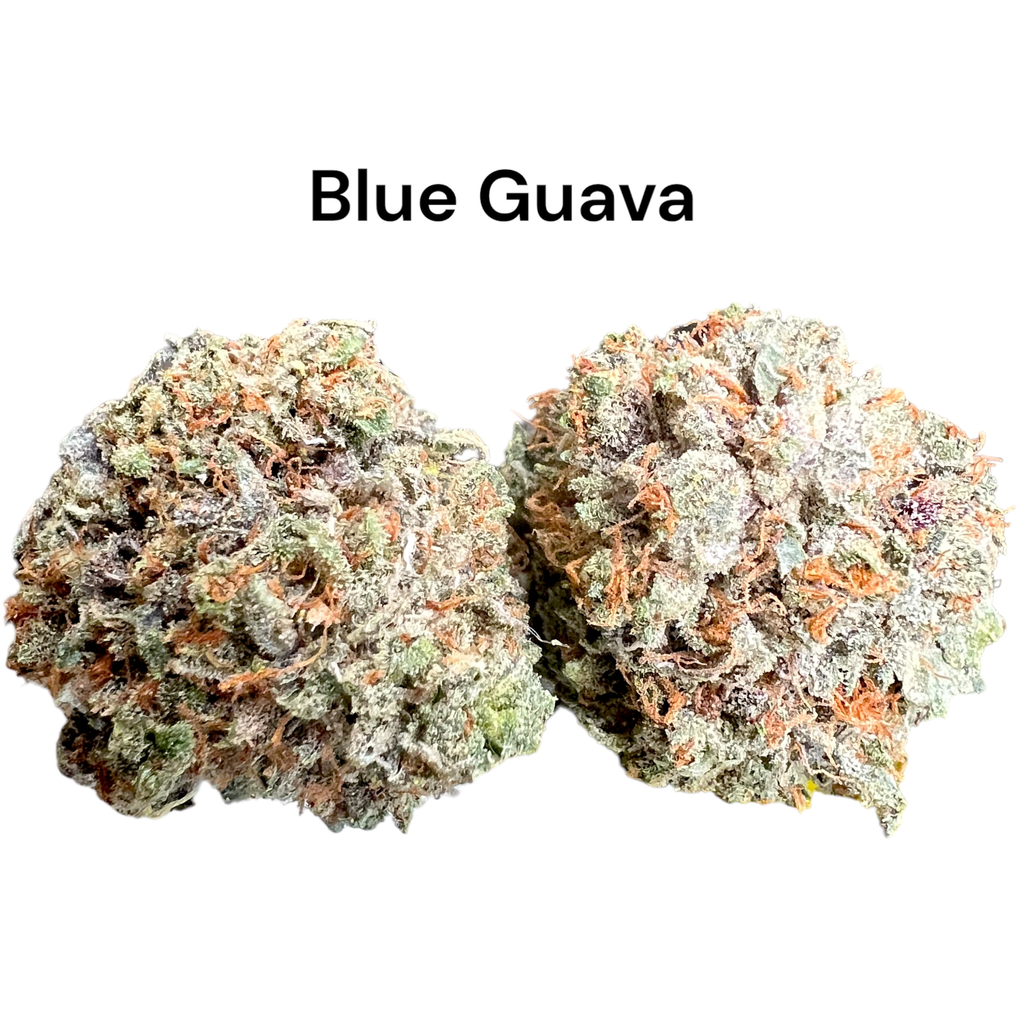 *blue Guava | 28%thc | Bogo $170 +gift | Kapn Kush - Free Delivery ...