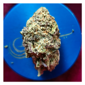 *new* Pineapple Express (7g-$50/14g-$80/28g-$150) (31% Thc) | West ...