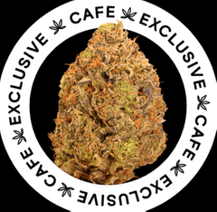 7g Cafe Exclusives- Pink Omen | Cafe Delivery - Scarborough | Leafythings