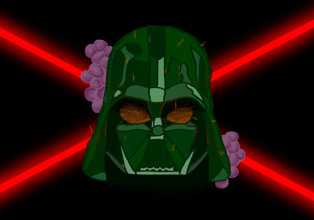 Vader Kush Strain Information Blogs